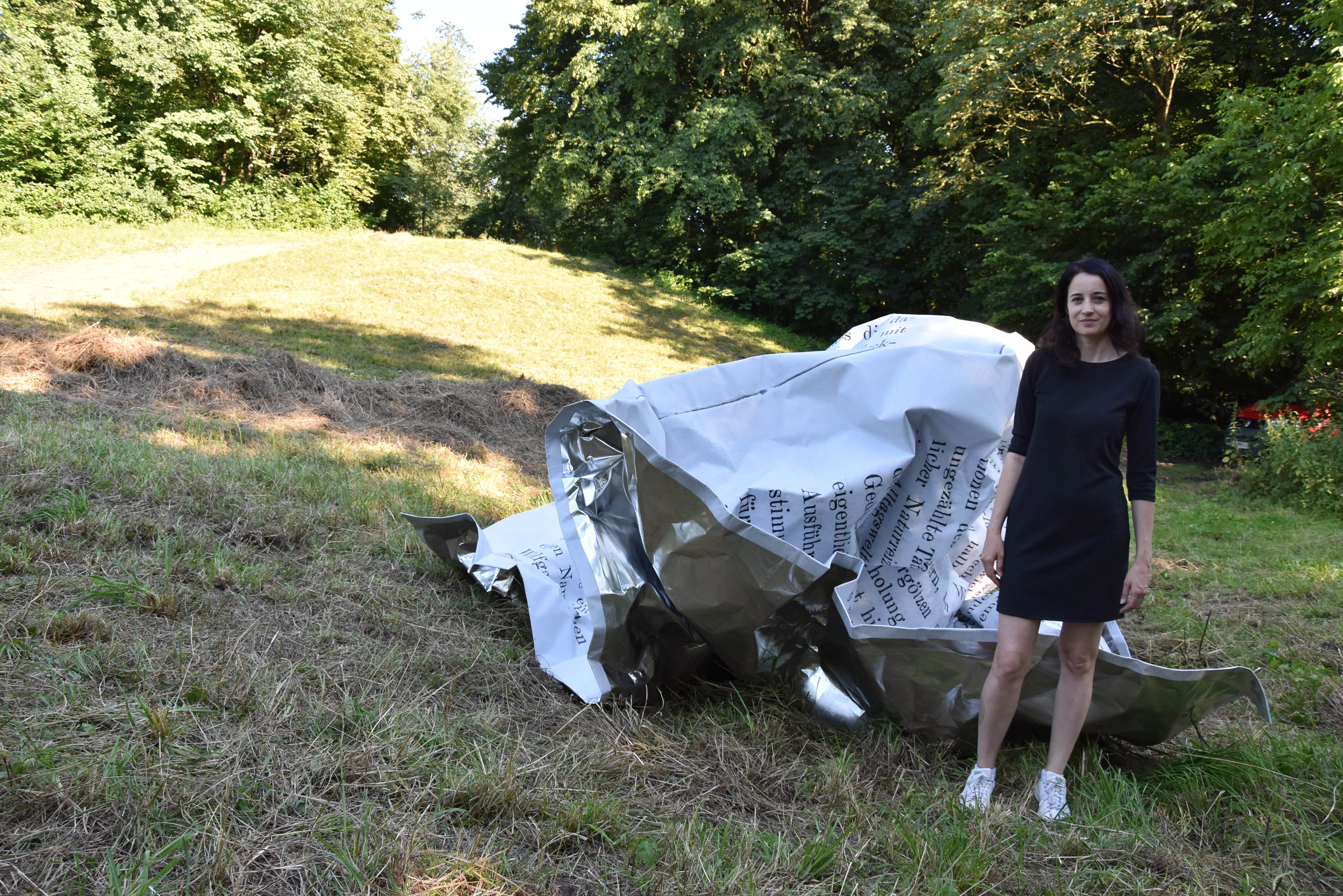 Der Traum von einem Feentempel. Künstlerische Interventionen zu nie ...