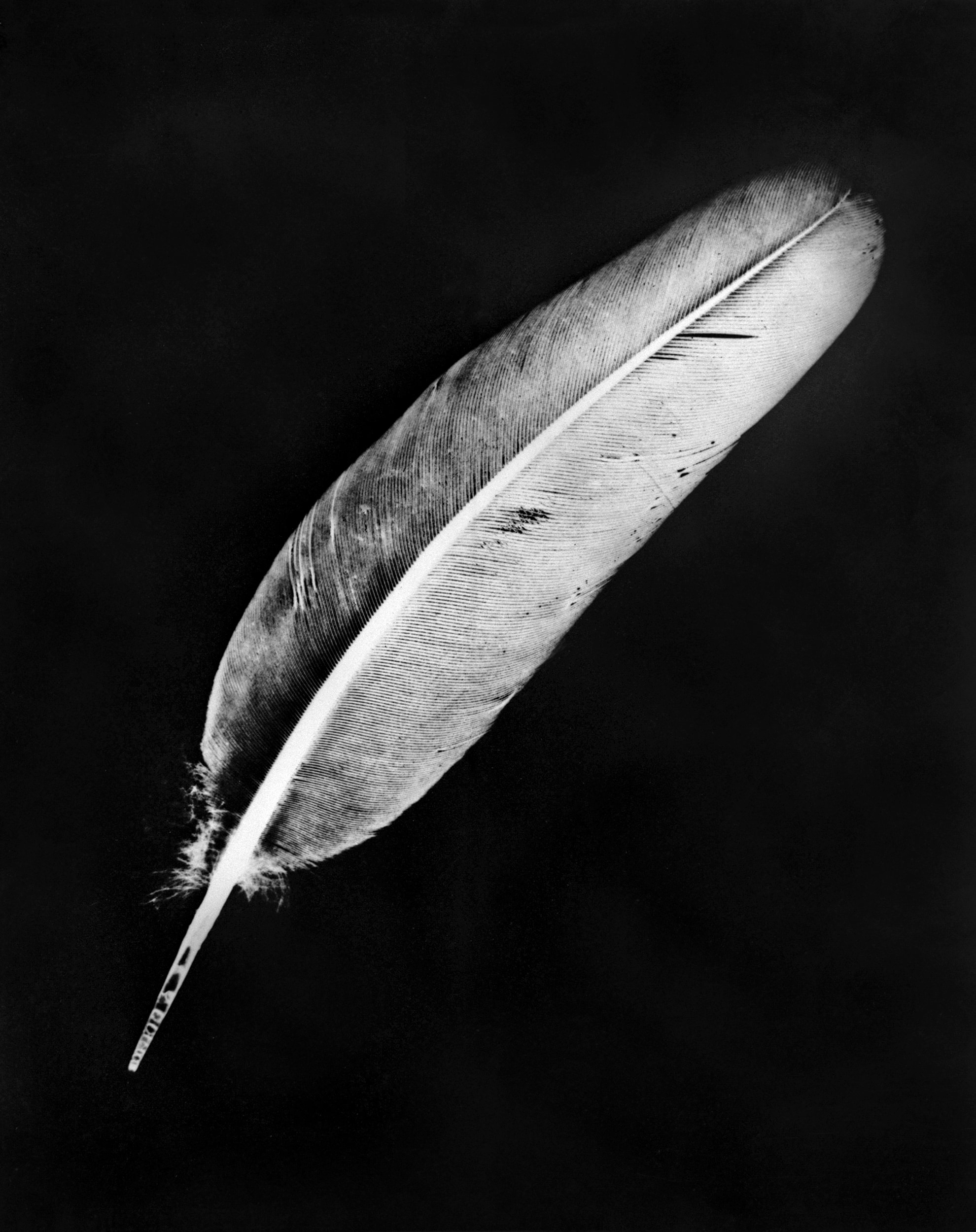 Still life — Time with Feldman 2021 • Salzburg Festival